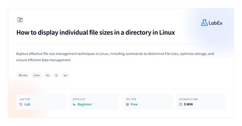 how to display individual file sizes in a directory in linux labex