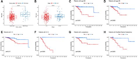 Correlation Between Signature And Clinicopathological Features A B