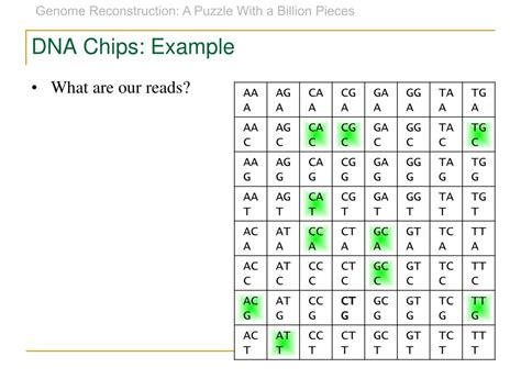 Ppt Genome Reconstruction A Puzzle With A Billion Pieces Powerpoint