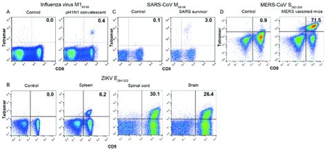 Color Online Mhc I Tetramer Based Detection Of Antigen Specific Download Scientific Diagram