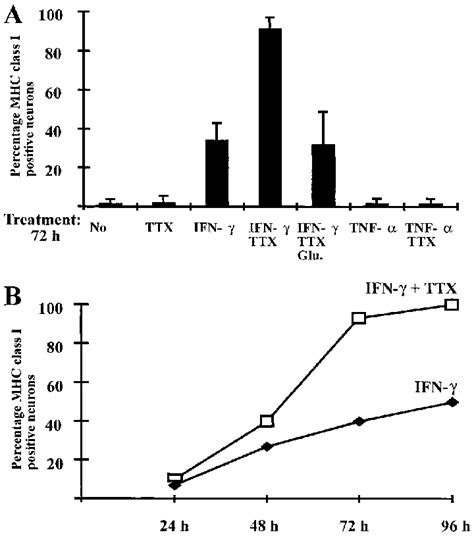 Inducibility Of MHC Class I Molecules On The Neuronal Cell Surface Download Scientific Diagram