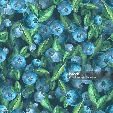 짙은 파란색 배경에 블루베리가 있는 수채화 일러스트가 매끄러운 패턴입니다 나뭇가지와 잎이 있는 블루베리 직물과 직물 의류 및 인쇄 벽지 및 포스터용 블루베리에 대한 스톡