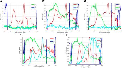 Frontiers A Blind Convolutional Deep Autoencoder For Spectral Unmixing Of Hyperspectral Images