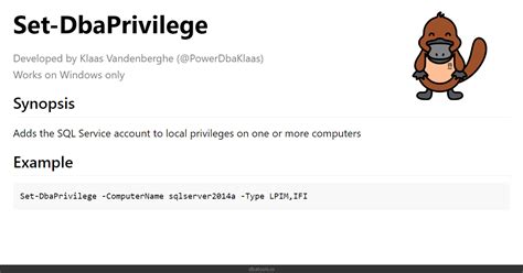 Dbatools Docs Set DbaPrivilege