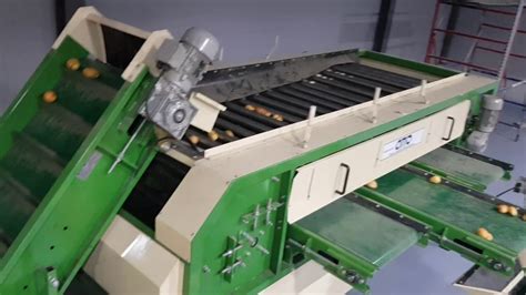 оборудование машина для сортировки калибровки овощей картофеля моркови лука по размеру Youtube