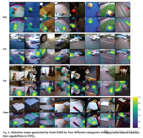 美国教授用2岁女儿训AI模型登Science人类幼崽头戴相机训练全新AI 智源社区