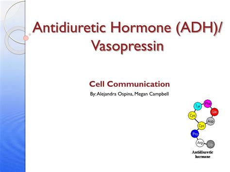 Ppt Antidiuretic Hormone Adh Vasopressin Powerpoint Presentation Free Download Id4590843