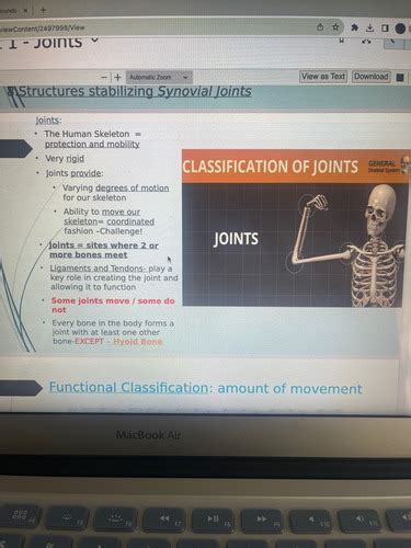 Joints A P Flashcards Quizlet