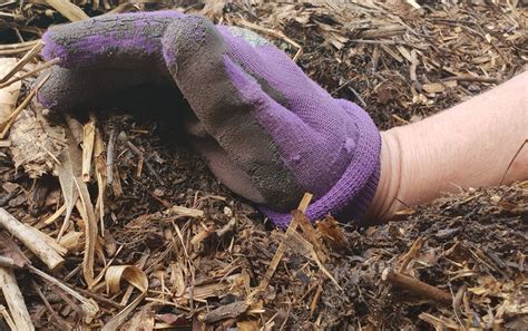 Planting Seeds Using Soil Temperature Full Cycle Permaculture