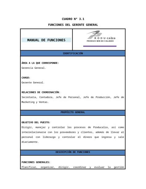 DOCX Manual De Funciones Ejemplo DOKUMEN TIPS