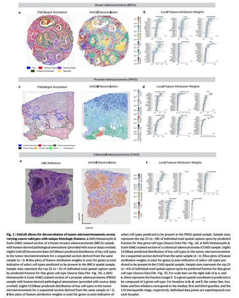 biodecoded on twitter interpretable and context free deconvolution of