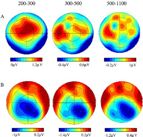 Scalp Topographies Of The Differences In Mean Amplitude Between The Download Scientific Diagram