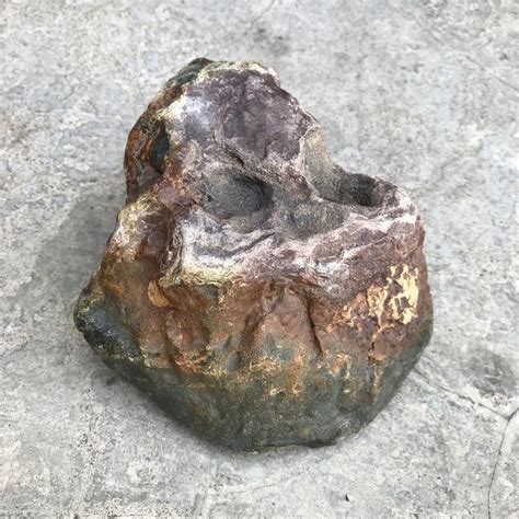 Unique Skull Shaped Fossil Stone With Jasper Mineral Covering Etsy Native American Artifacts