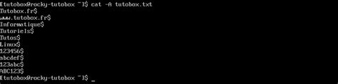 Comment Afficher Le Contenu Des Fichiers Sous Linux Avec Cat More Et Less Tutobox Fr