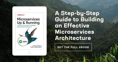 nginx on linkedin microservices up and running nginx