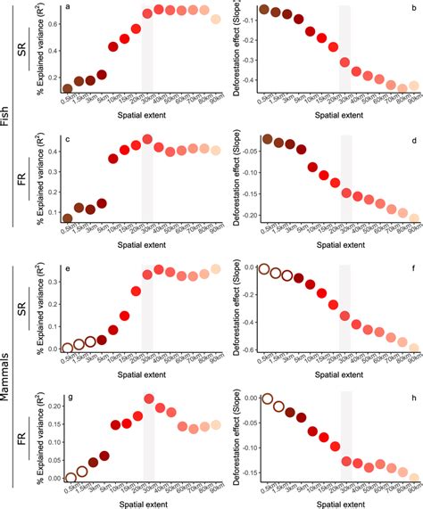 Identification Of The Relevant Spatial Extent To Measure Deforestation