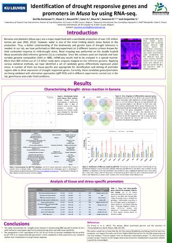 identification of drought responsive genes and promoters in musa by