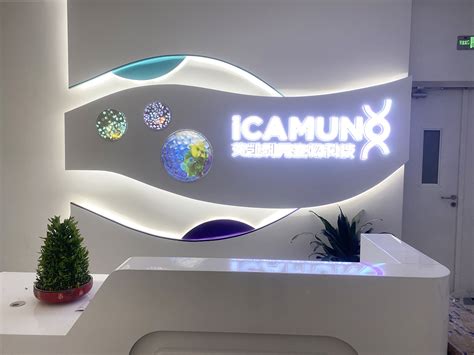 陆小芸面馆品牌vi设计高端连锁面馆vi案例 餐饮logo品牌设计