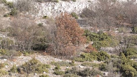 19 03 23 ΜΟΥΝΤΑΡΙΣΜΑ ΣΤΑ ΒΡΑΧΙΑ Youtube