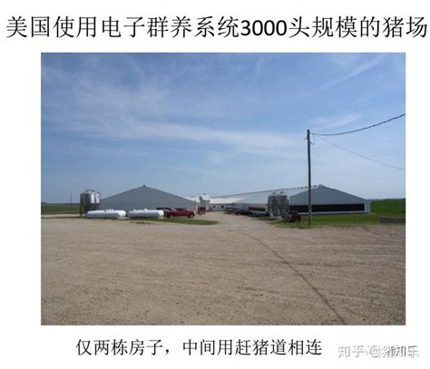 参观学习美国现代化高效养猪场（图文）—猪知乐整理 知乎