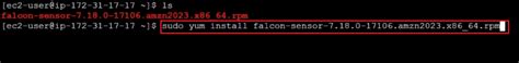 Installing Falcon Sensor For Linux