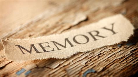 Spatial Memory How Your Brain Navigates The World Around You Opic 3d Vr Live Streaming