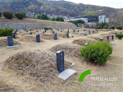 벽제묘지 벽제리묘지 공사관리 상담소 묘지이장 묘지개장 산소정리 묘지화장 잔디 사초 석축 축대 묘둘레석
