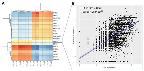 Spatial Transcriptomic Analysis Reveals Associations Between Genes And Cellular Topology In