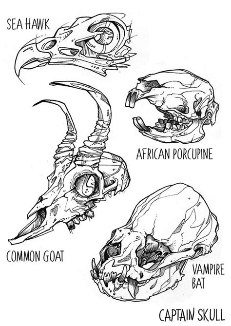 Animal Skull Tattoo