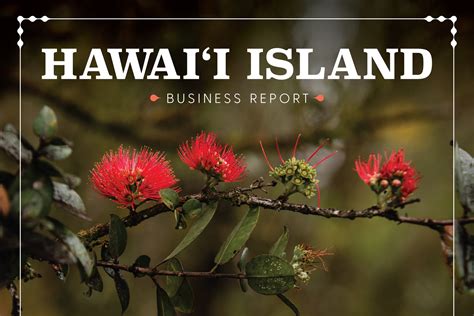 Hawaii Island Business Report 2019 Hawaii Business Magazine