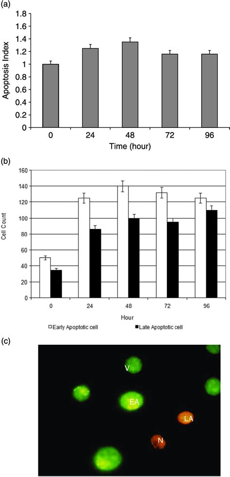 A Determination Of Cape Induced Apoptotic Dna Fragmentation By Using Download Scientific