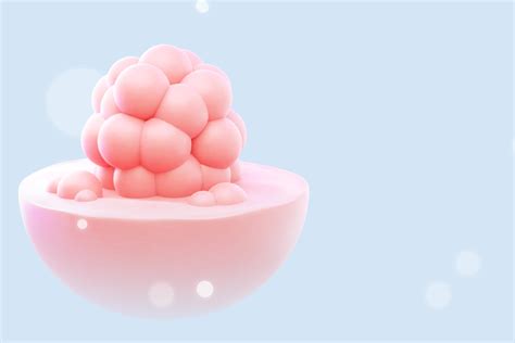 Initial Development Of The Placenta And Amnion