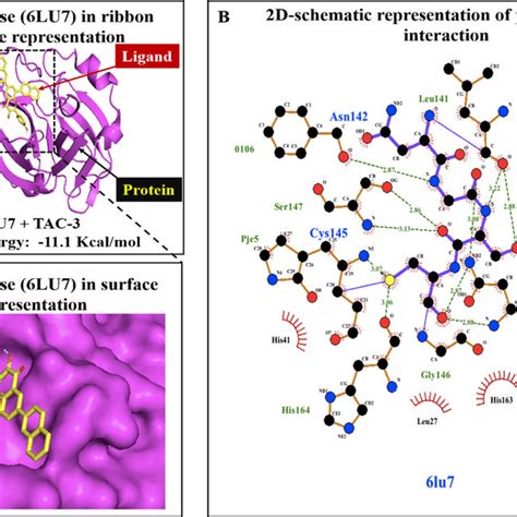 Docking Analysis And Visualisation Of Protein Ligand Complex A