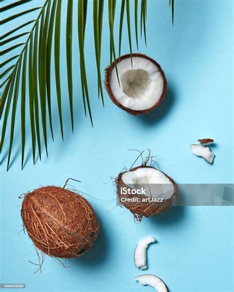 조각 및 전체 코코넛 팜 녹색 잎 파란 배경에 텍스트 위한 공간을 복사합니다 식품 구성입니다 평면 배치 0명에 대한 스톡 사진 및 기타 이미지 Istock