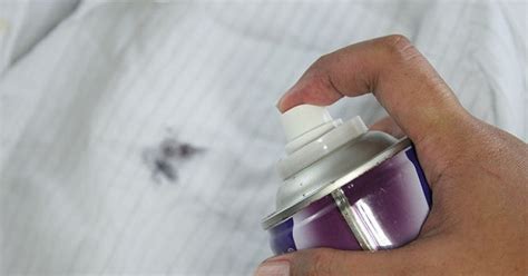 თმის ლაქის გამოყენების 10 არასტანდარტული მეთოდი Marao