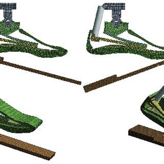 Mesh Modeling And Width Assignment In The Transversal Direction The 2D Download Scientific