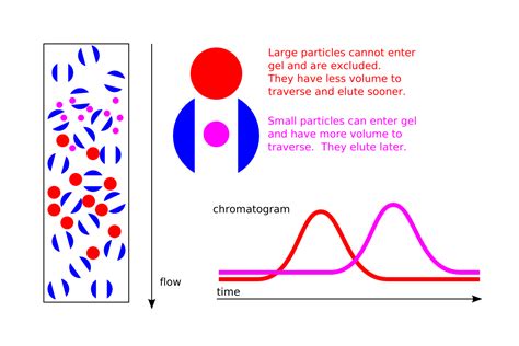 Chromatography Gel Chromatography Exclusion Chromatography Gel Permeation Chromatography