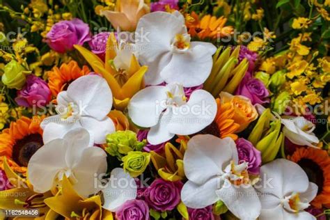 신선한 봄 꽃다발 여름 배경입니다 분홍색 모란과 라일락 Eustoma 장미 꽃 노란색 백합 난초와 녹색 잎의 신선한 꽃의 풍부한 무리 0명에 대한 스톡 사진 및 기타 이미지