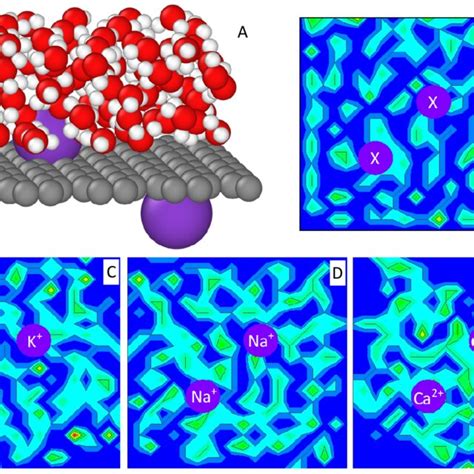 Water Transport Through Cation Intercalated Goms Variation Of A