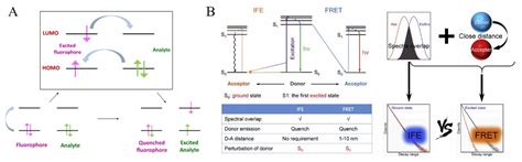 Biosensors Free Full Text An Overview Of The Design Of Metal Organic Frameworks Based