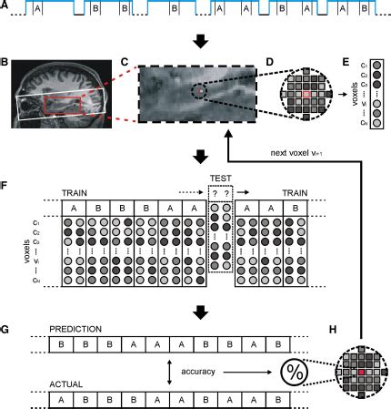 Multivariate Pattern Analysis An Example Multivariate Analysis Of A Download Scientific Diagram