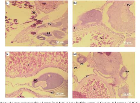 Figure 1 From The Assessment Of Different Dietary Selenium Resources On Reproductive Performance