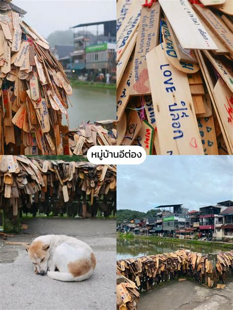 🛖 เที่ยวหมู่บ้านอีต่องปิล๊อก 2 วัน 1 คืน แกลเลอรีที่โพสต์โดย Triptamjai Lemon8