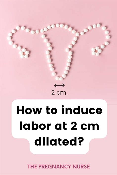 Cervix Pregnancy Dilated