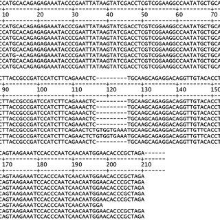 Alignment Sequence Of Base Pairs Bp Of The SRY Sex Determining Download Scientific