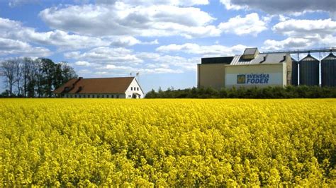 Paul Houtkooper On Linkedin Svenska Foder Pioneering Oracle Jd Edwards Release 24 With Xperitus