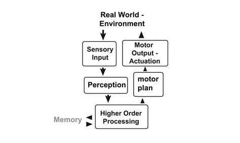 Making Data Trees In Python Learn About Trees And How To Implement By Keno Leon The