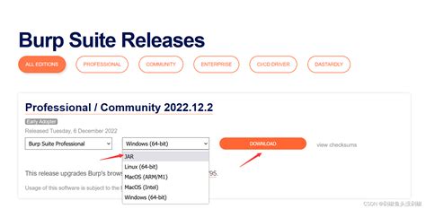 burpsuite安装与使用教程 含jdk配置环境 burpsuite安装详细教程 csdn博客