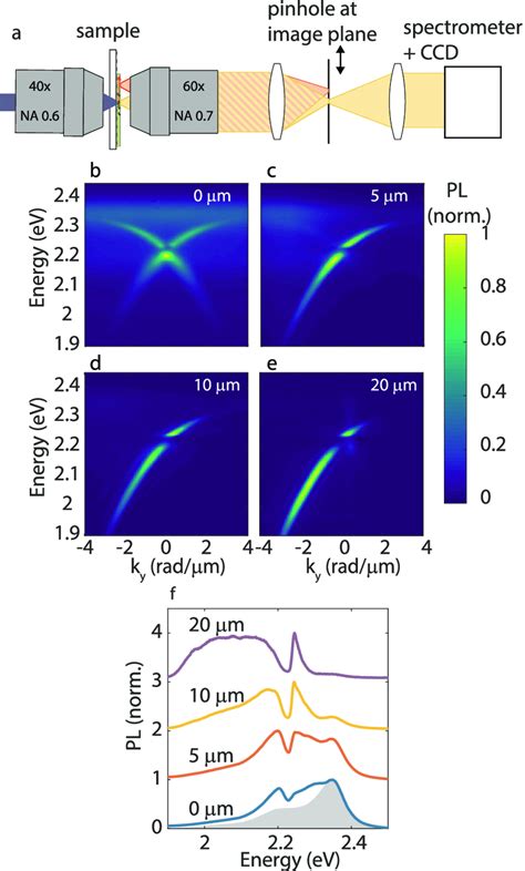 Schematic Representation Of The Experiment A The Strongly Coupled Tc
