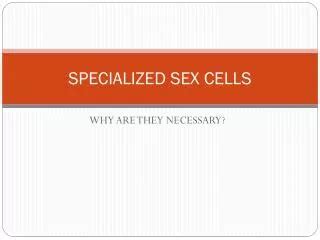 PPT SPECIALIZED SEX CELLS PowerPoint Presentation Free Download ID